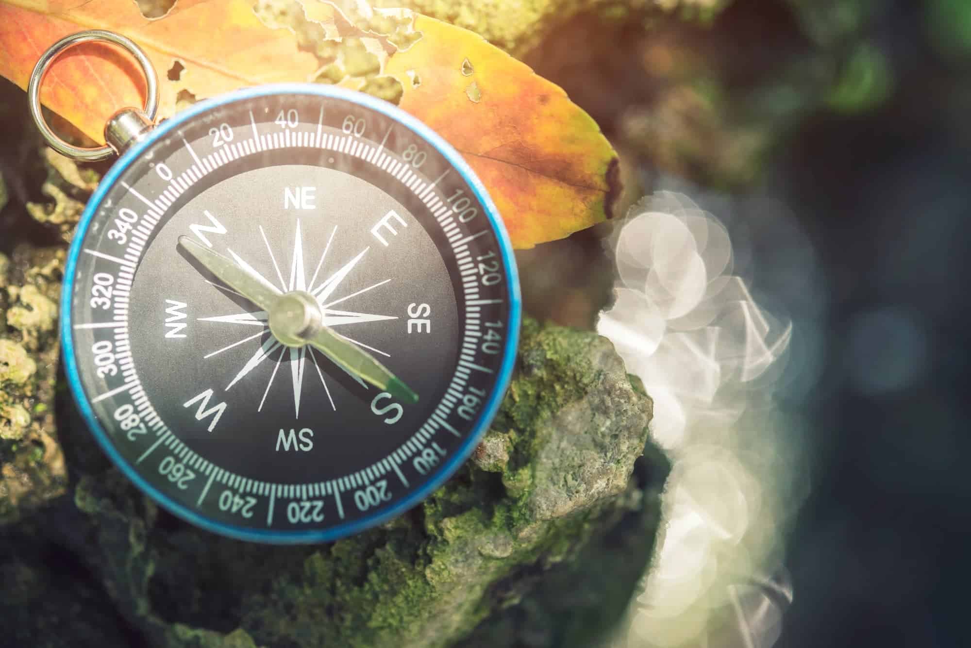 Navigating the World Today - Olympus Counseling Services